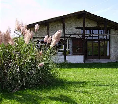 Ornamental Grasses - seedaholic