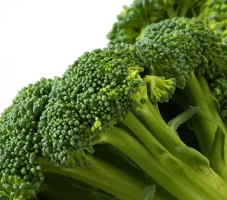 Leafy Greens - seedaholic